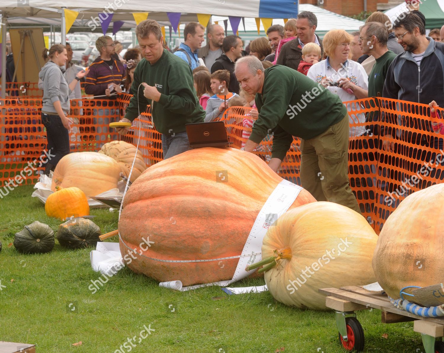 Grower Mark Baggs His Giant Pumpkin Editorial Stock Photo - Stock Image ...