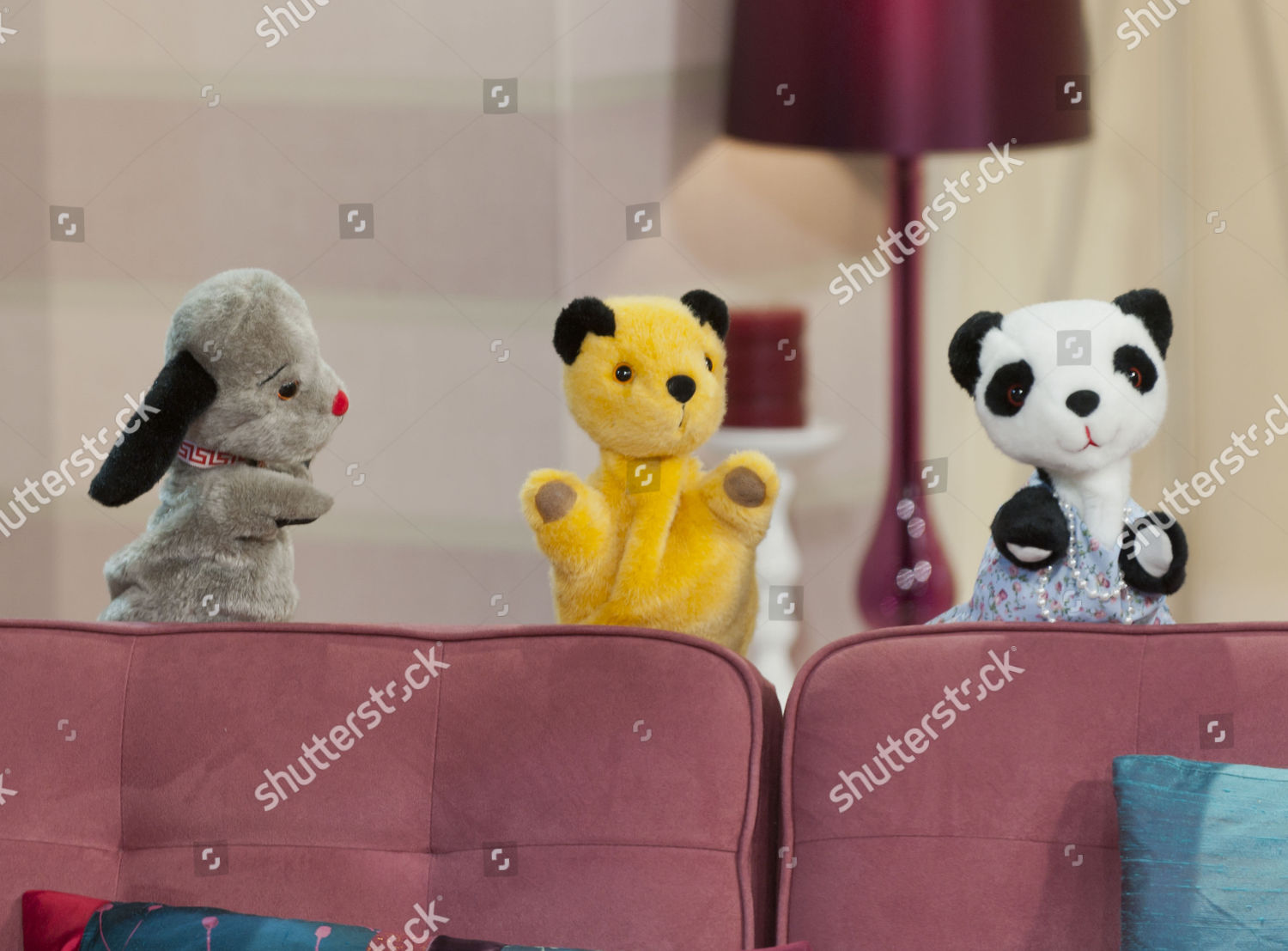 Sweep Sooty Soo Editorial Stock Photo - Stock Image | Shutterstock