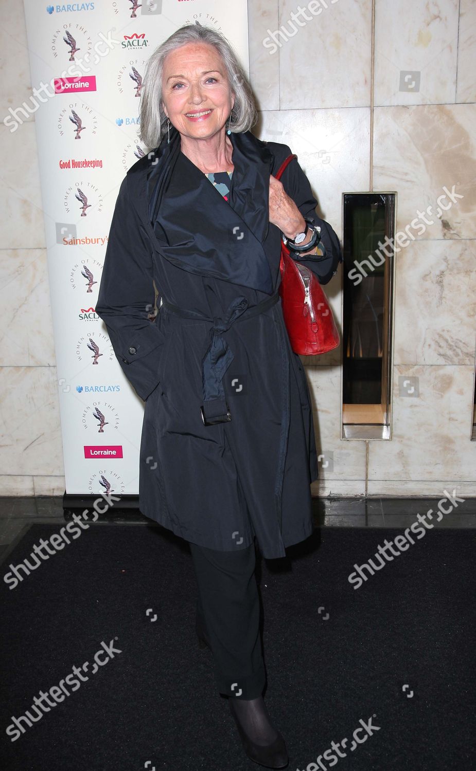 Anna Ford Editorial Stock Photo - Stock Image | Shutterstock