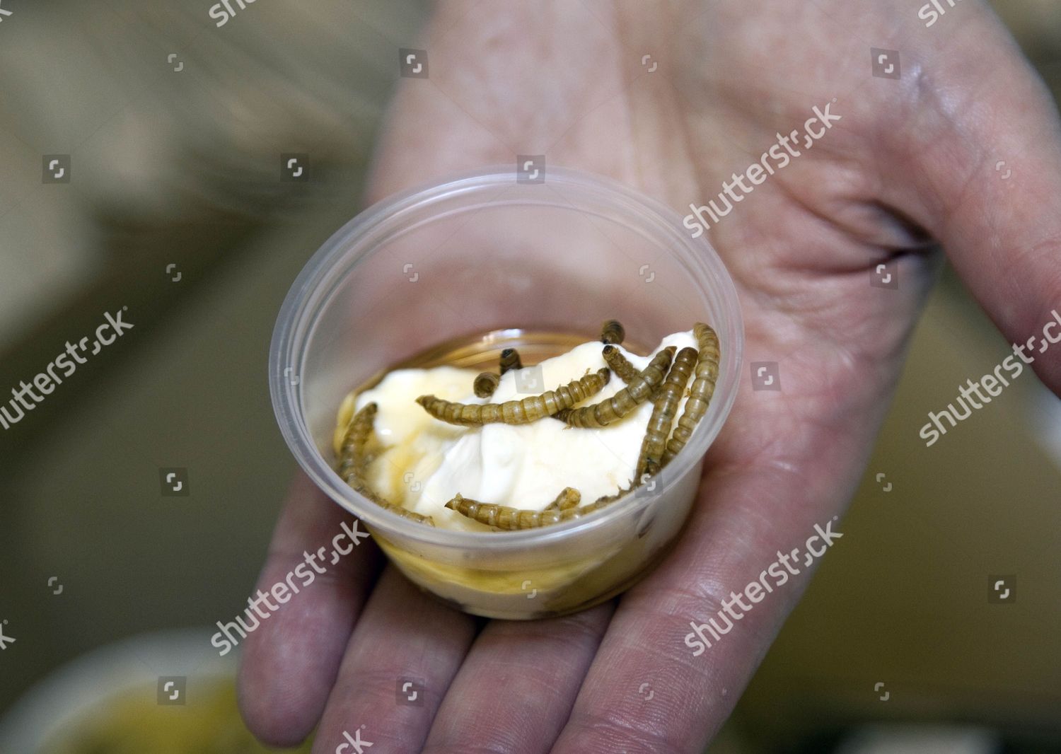 Yoghurt Bee Vomit Honey Editorial Stock Photo - Stock Image | Shutterstock
