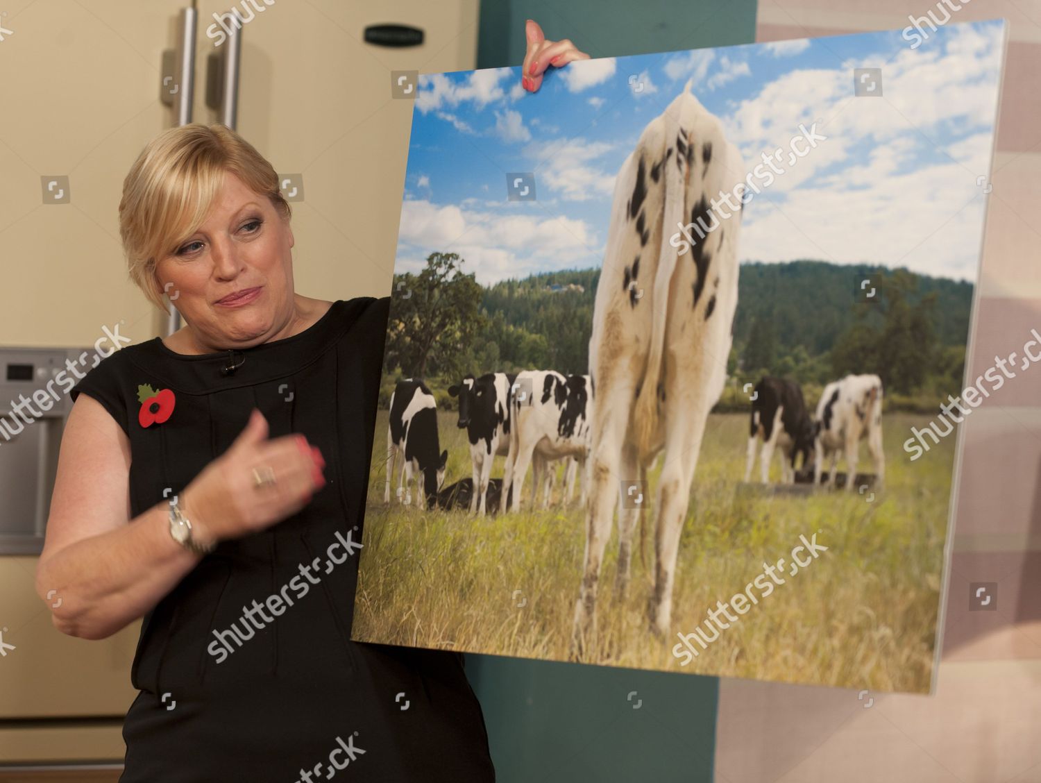 Sam Amos Editorial Stock Photo - Stock Image | Shutterstock