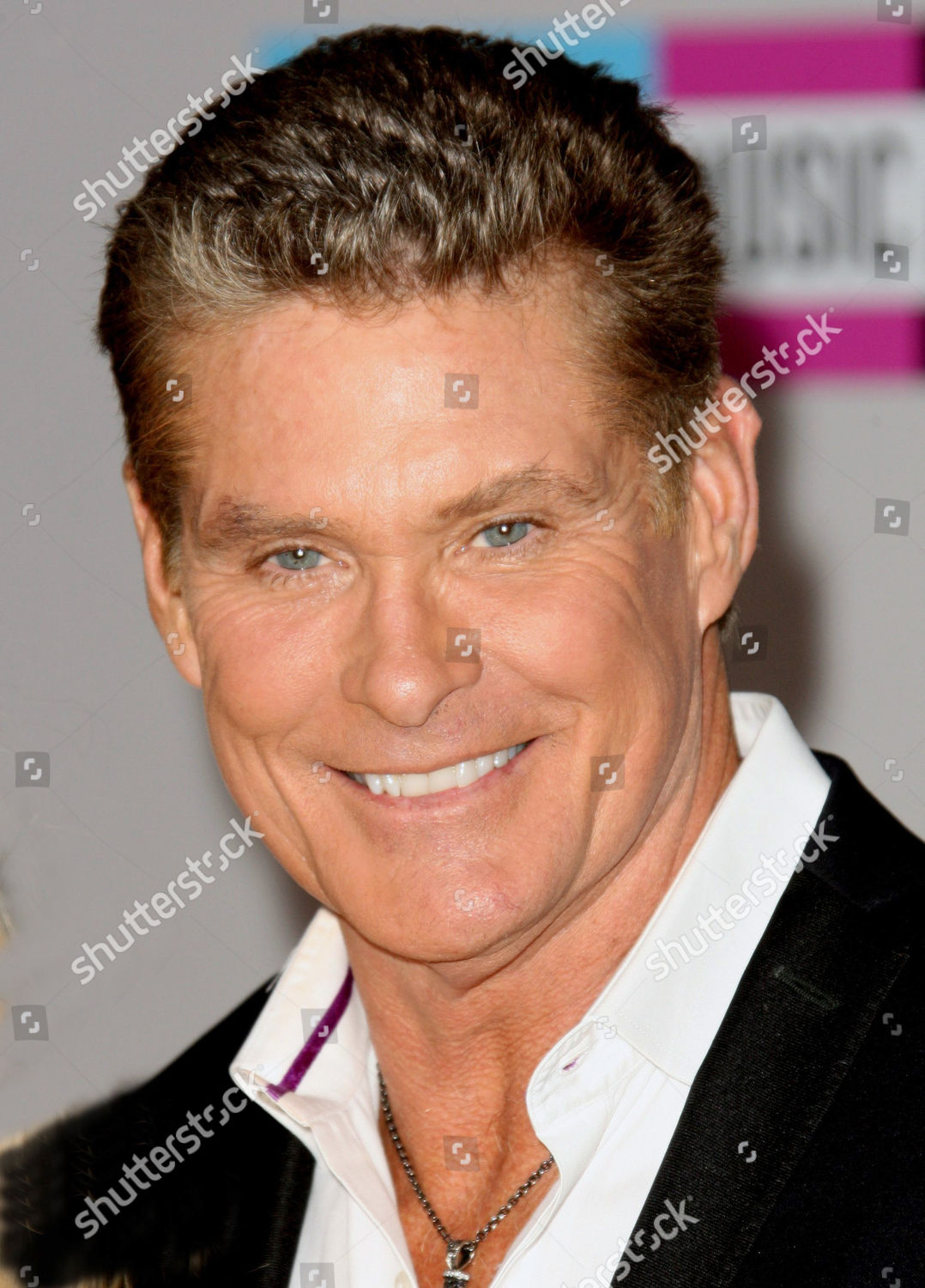 David Hasselhoff Editorial Stock Photo - Stock Image | Shutterstock