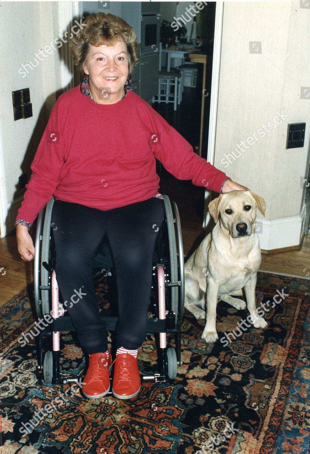 Lady Margaret Tebbit Her Dog Ben Editorial Stock Photo - Stock Image ...