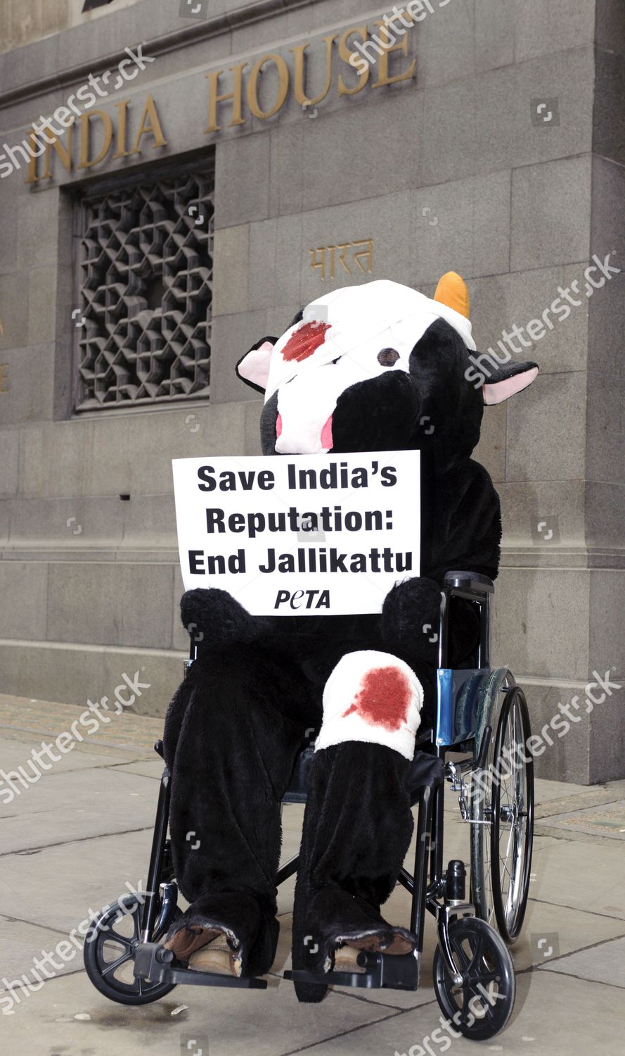Peta Bull Protesting Outside India House Editorial Stock Photo - Stock ...