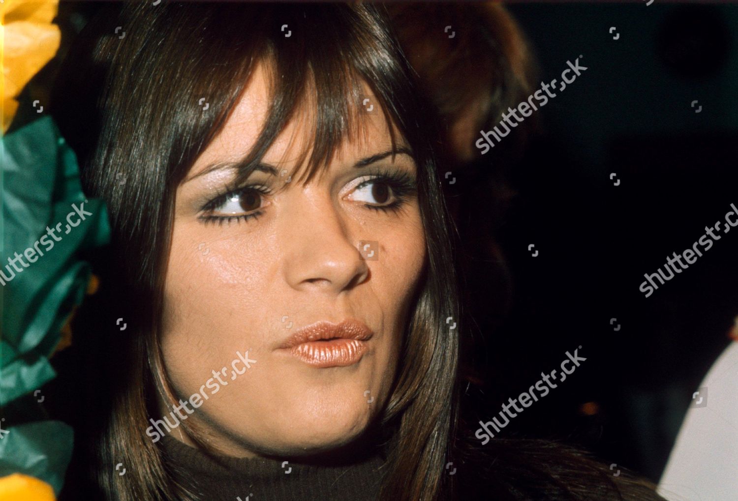 New Seekers Eve Graham Editorial Stock Photo - Stock Image | Shutterstock