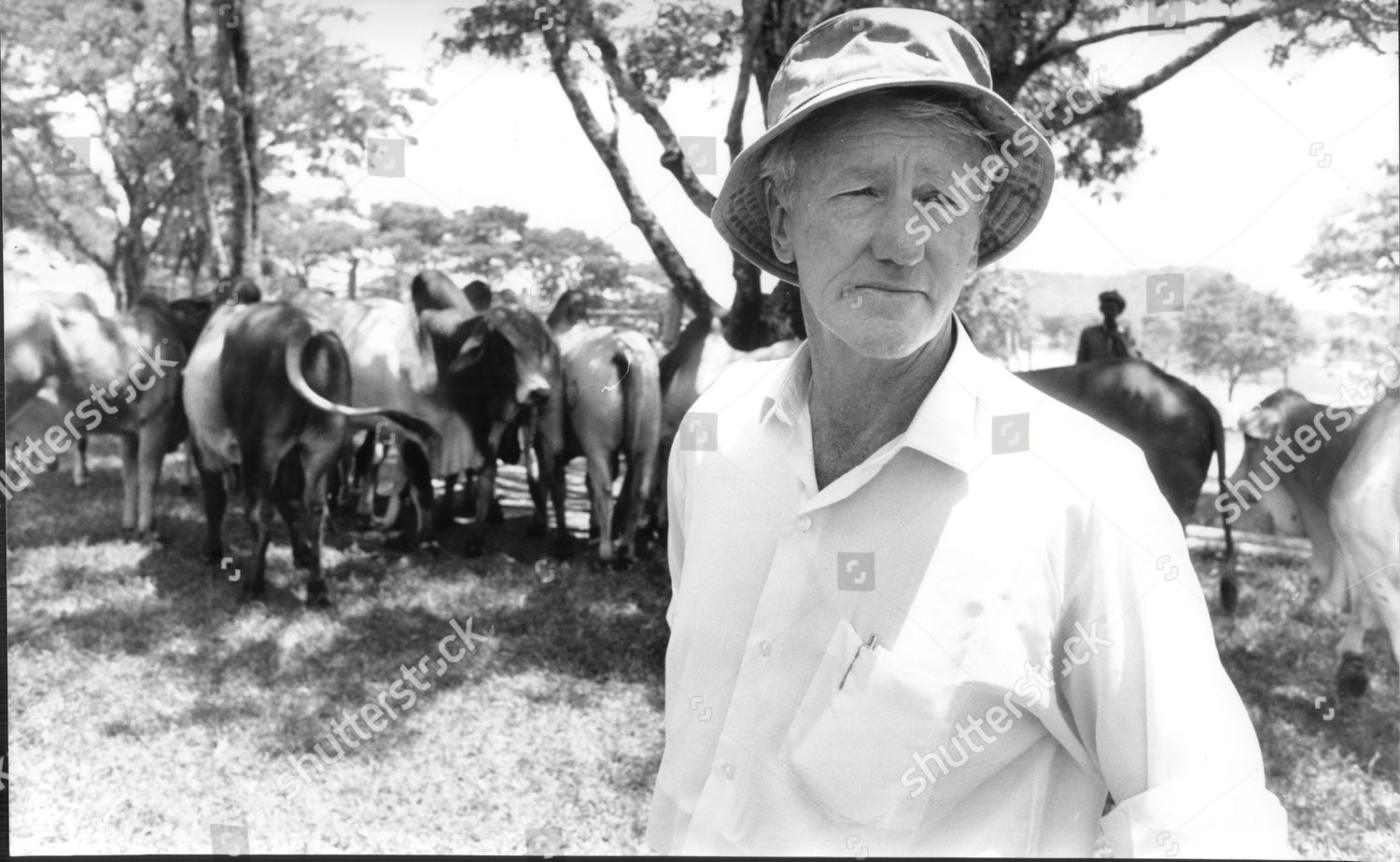 Former Rhodesian Prime Minister Ian Smith Editorial Stock Photo - Stock ...