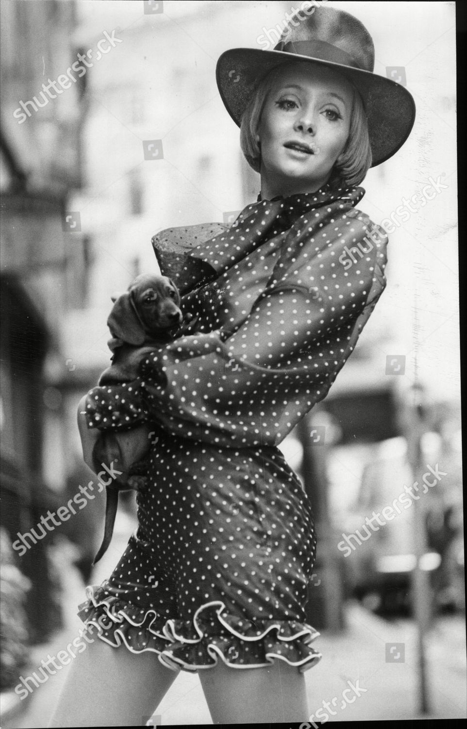 Genevieve Waite Actress Organza Bloomers Blouse Editorial Stock Photo ...
