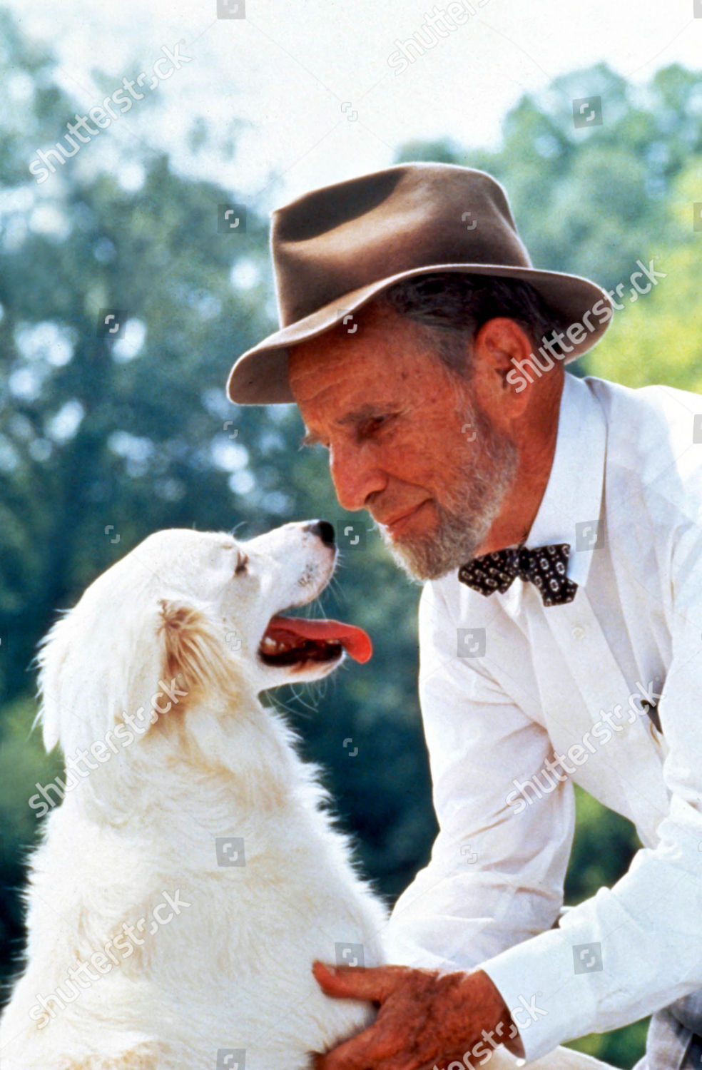 Dance White Dog Jessica Tandy Hume Editorial Stock Photo - Stock Image ...