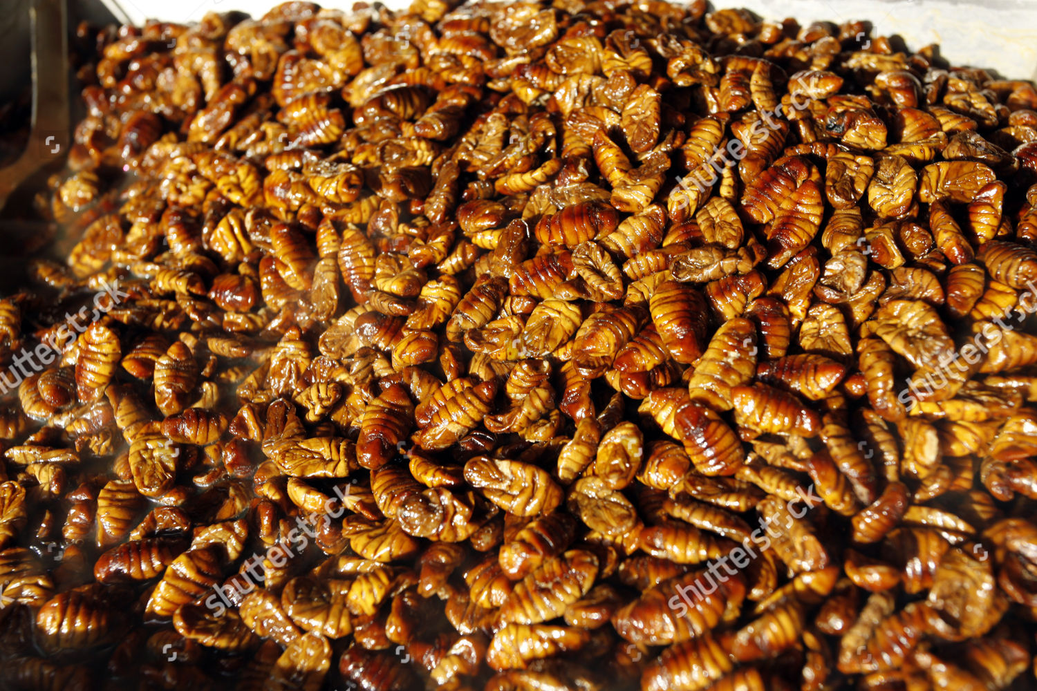 Beondegi Silkworm Larvae Chrysalis Snack Food Editorial Stock Photo ...