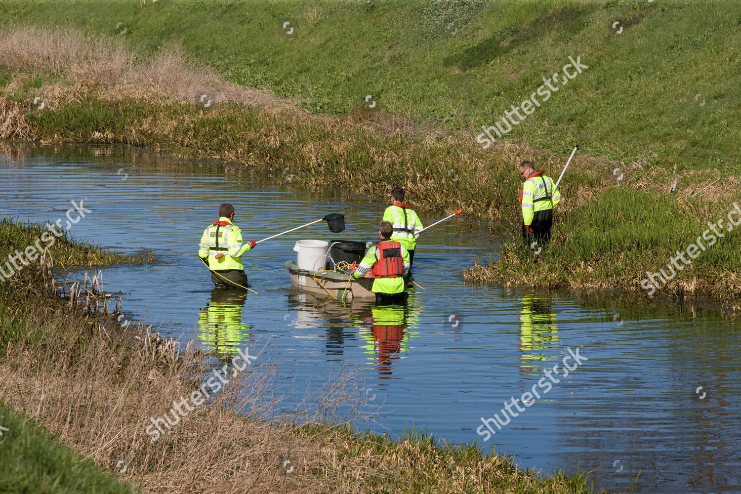 Environment Agency Officers Rescuing Fish 9k Editorial Stock Photo ...
