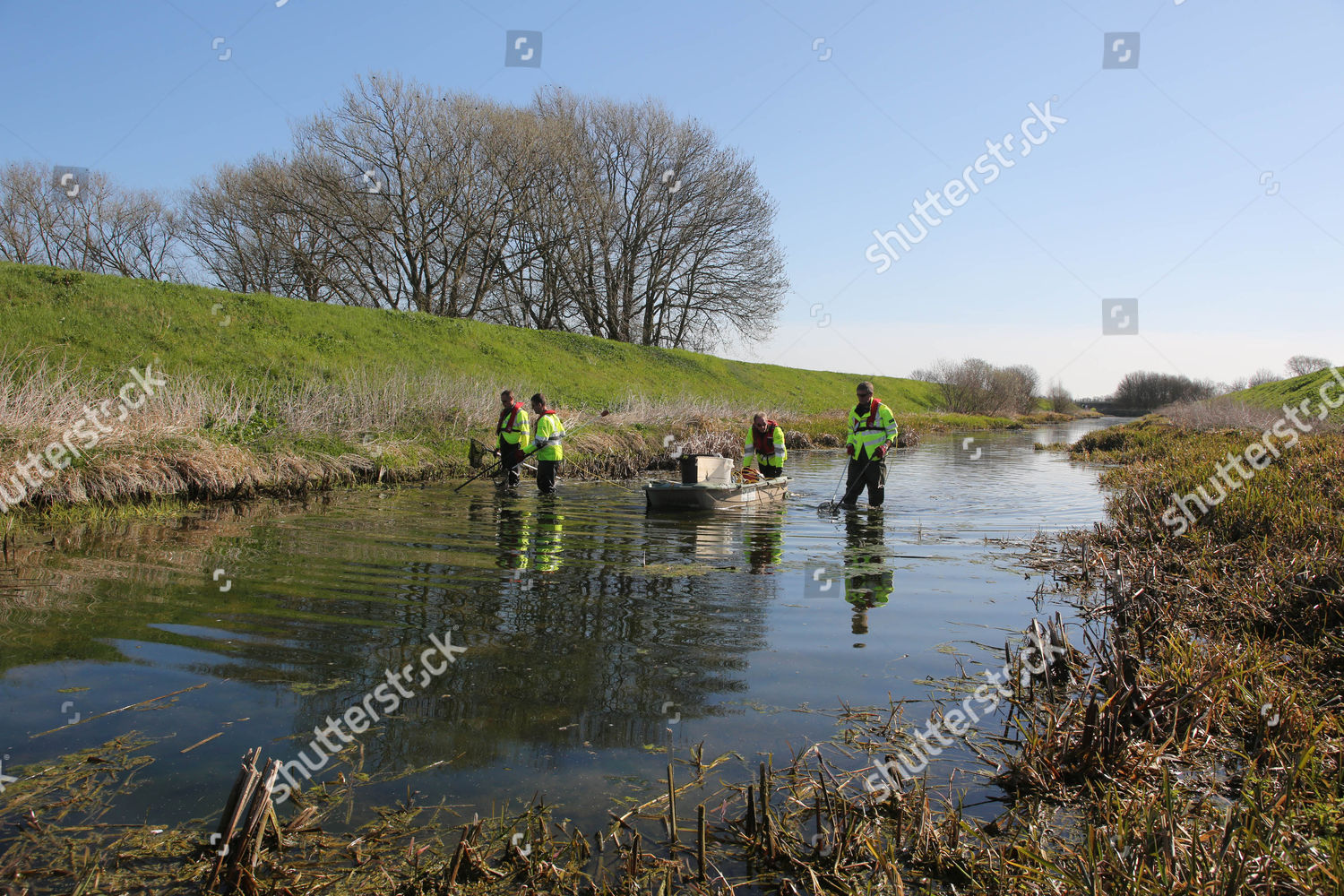 Environment Agency Officers Rescuing Fish 9k Editorial Stock Photo ...