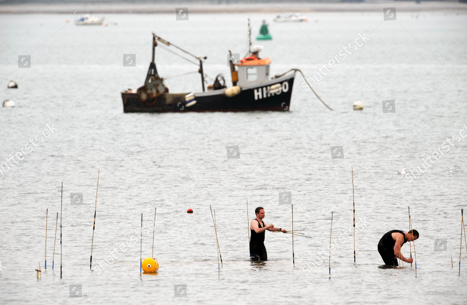 Royal Naval Bomb Disposal Squad Mark Editorial Stock Photo - Stock ...