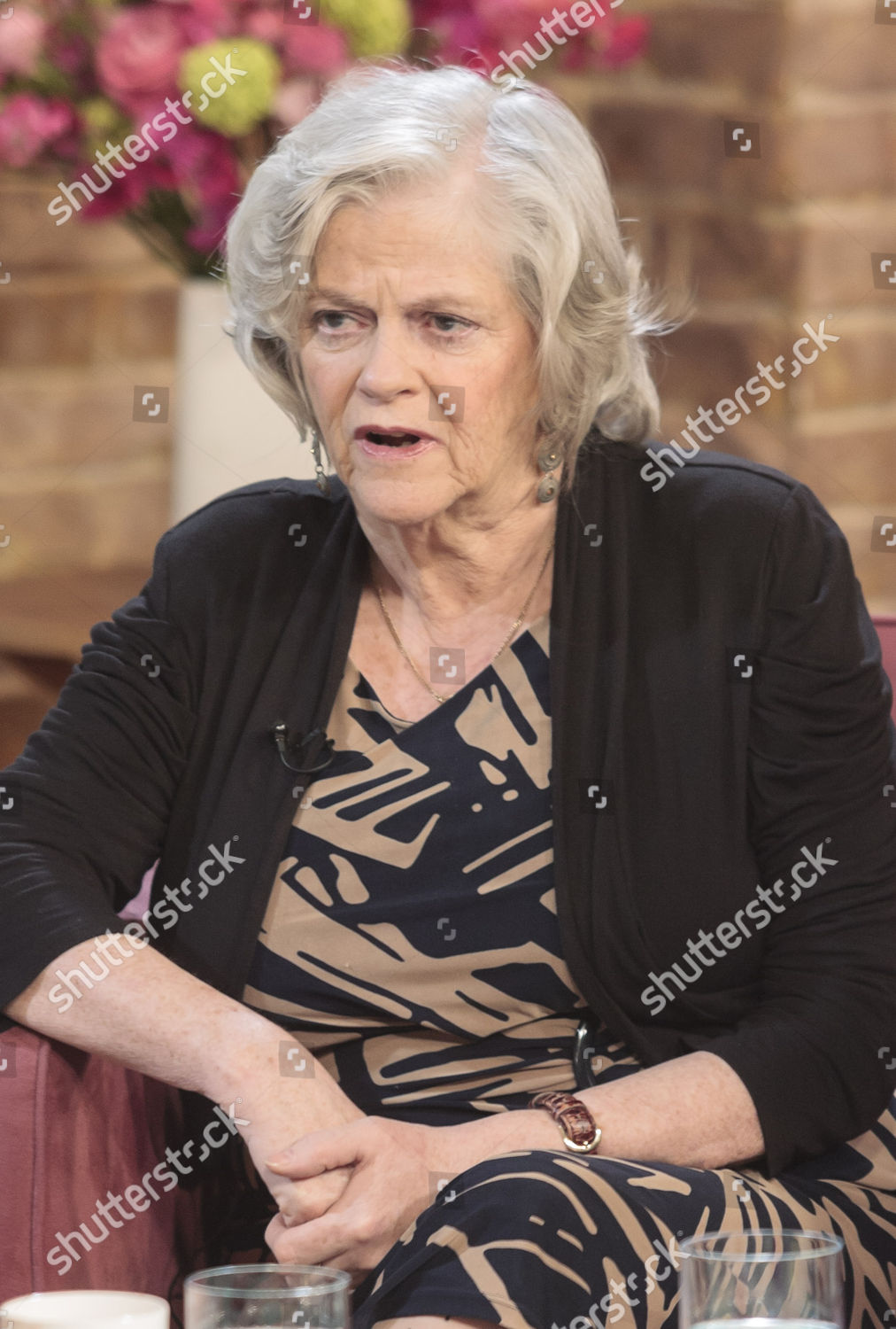 Ann Widdecombe Editorial Stock Photo - Stock Image | Shutterstock