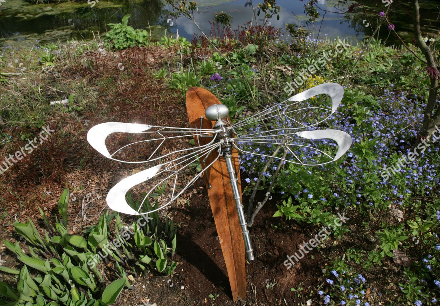 Dragonfly On Leaf By Christopher Greenhow Editorial Stock Photo - Stock ...