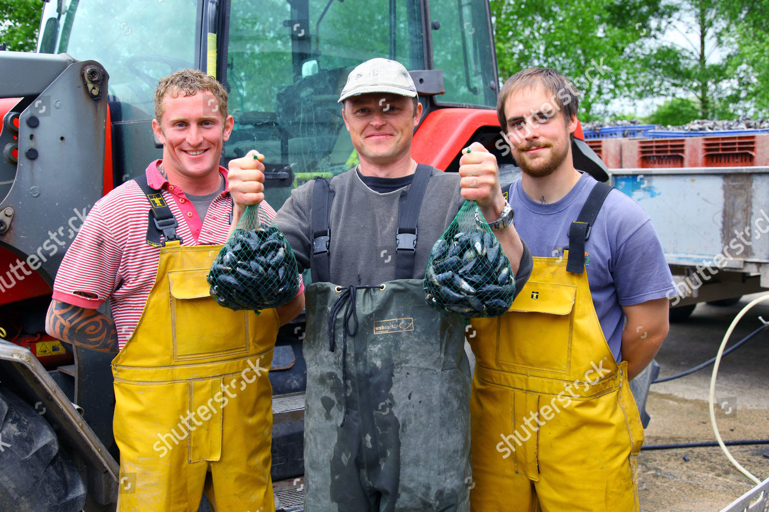 Sea Water Mussel Farmers Menai Straits Editorial Stock Photo - Stock ...