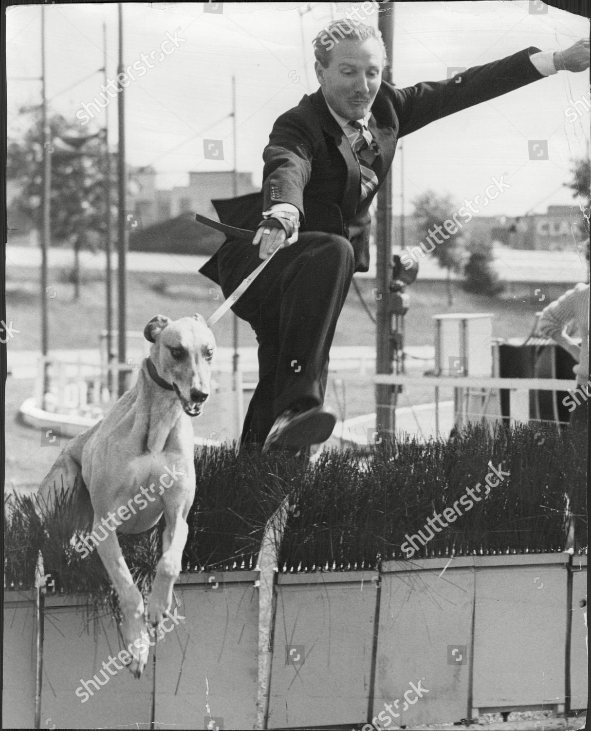Actor Leslie Phillips Hackney Wick Dog Editorial Stock Photo - Stock ...