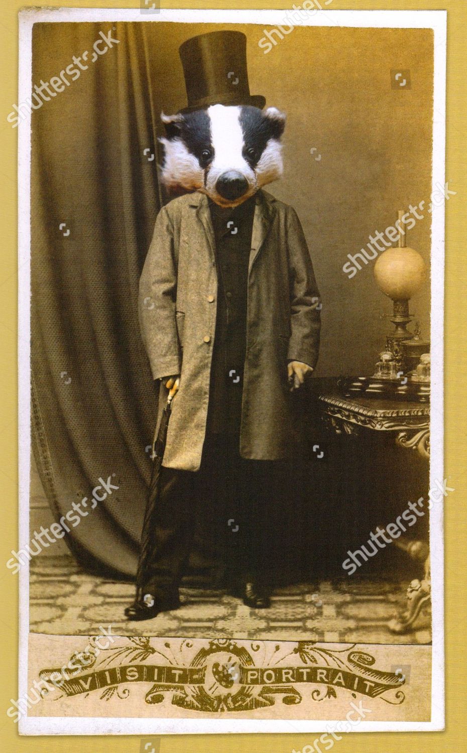 Charlotte Cory Vistorian Titled Gentleman Badger Editorial Stock Photo ...