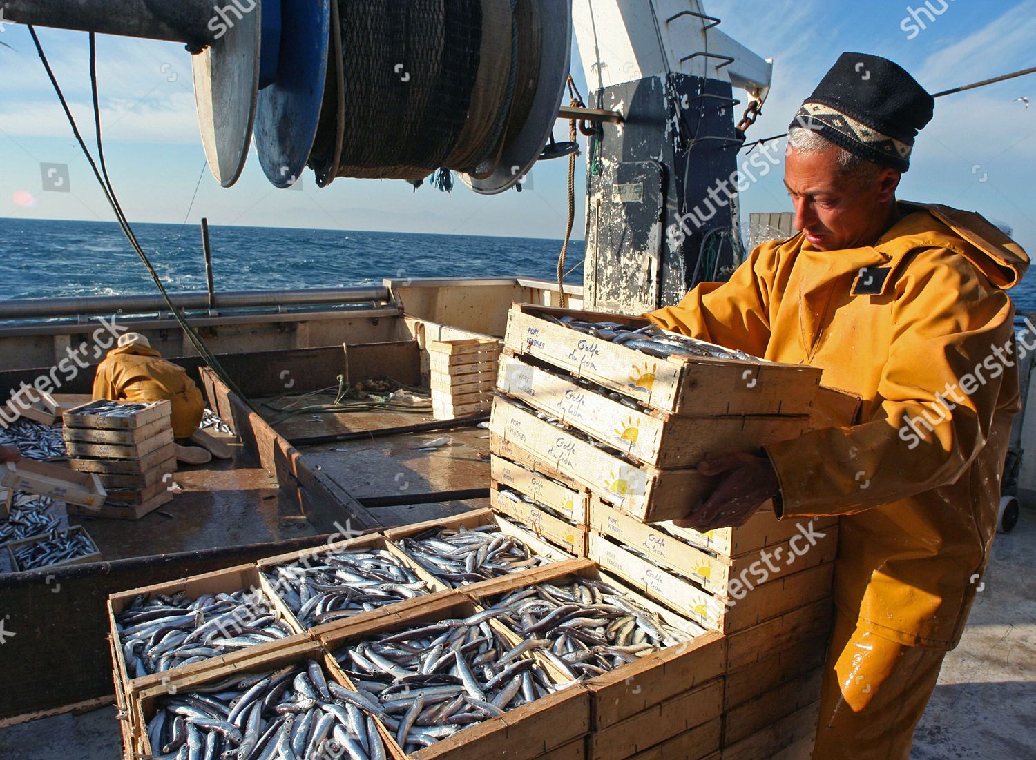 Anchois Captures Lors Dune Peche Au Editorial Stock Photo - Stock Image ...