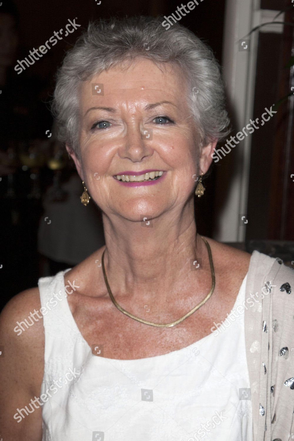 Susan Sheridan Editorial Stock Photo - Stock Image | Shutterstock