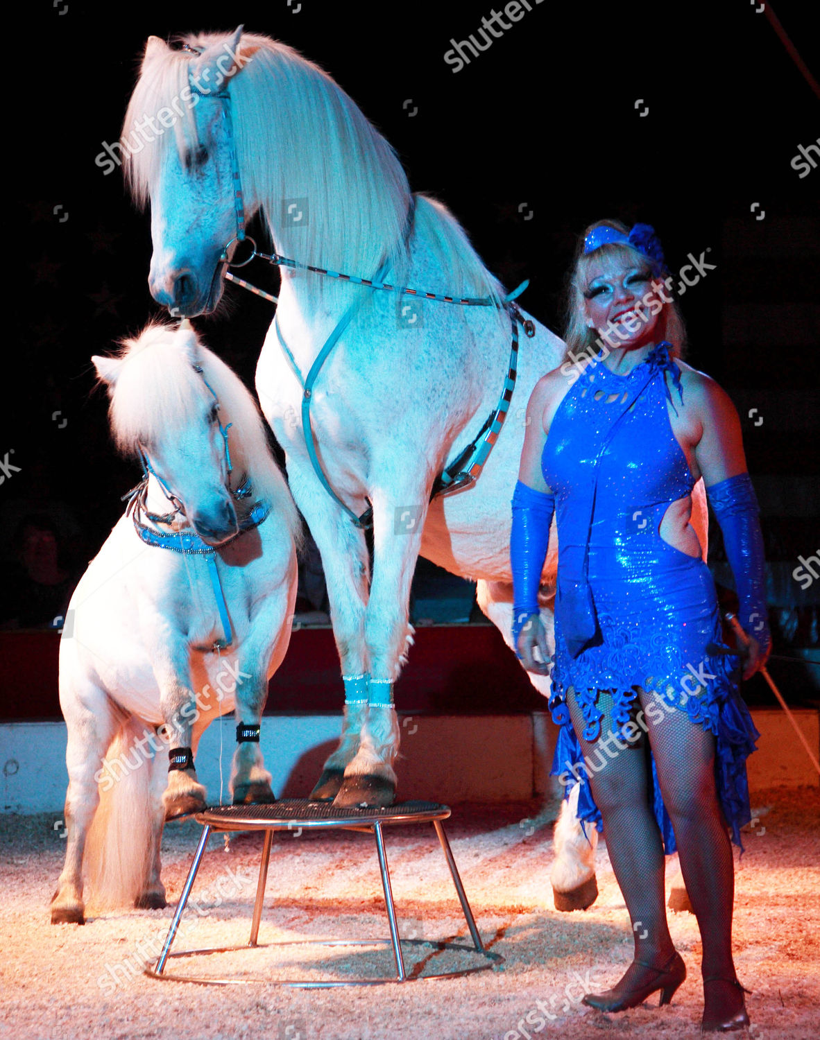Amanda Sandow Performs Circus Horse Steel Editorial Stock Photo - Stock ...