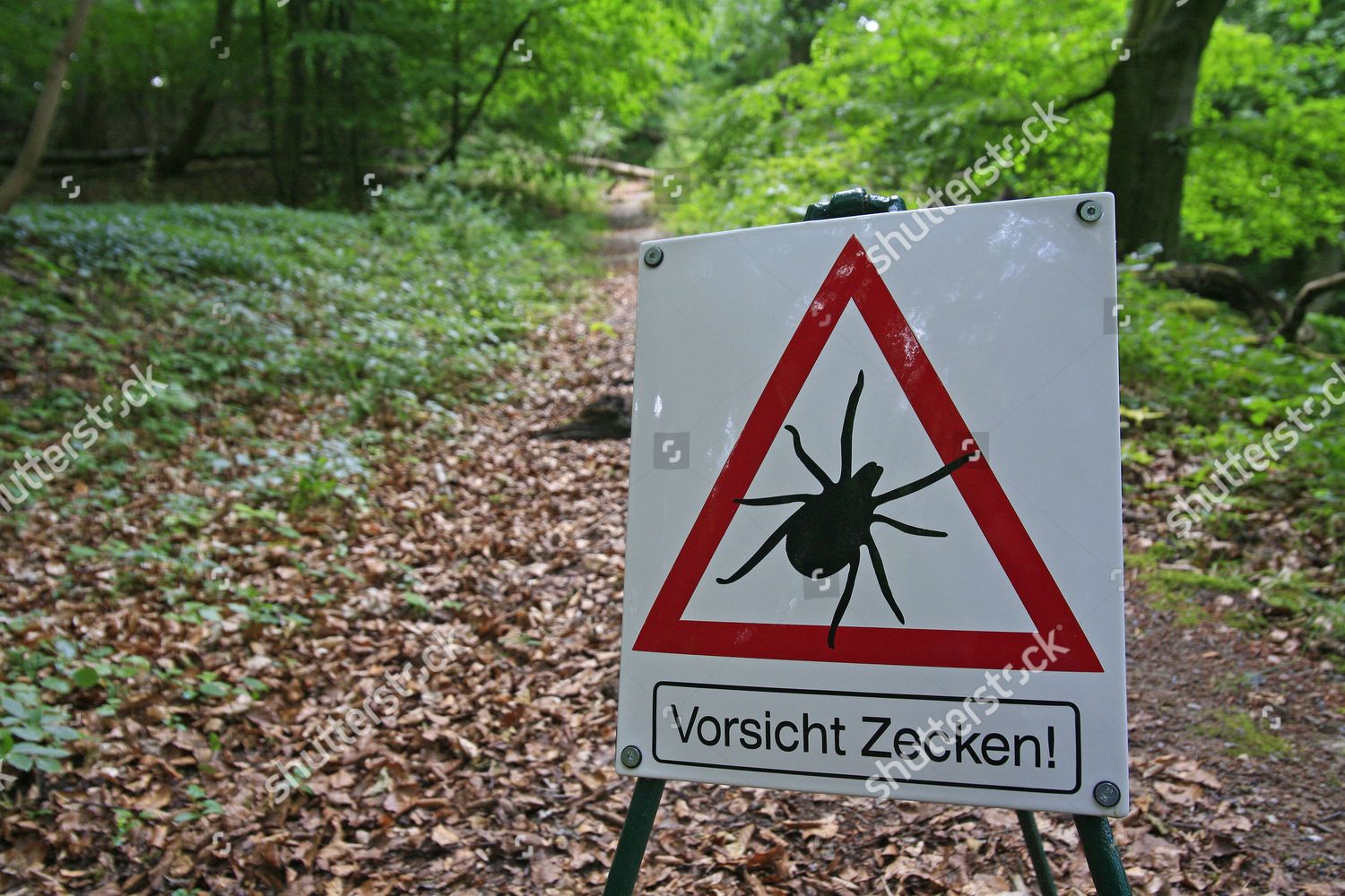 Sign Beware Ticks Hiking Trail Dangerous Editorial Stock Photo - Stock ...