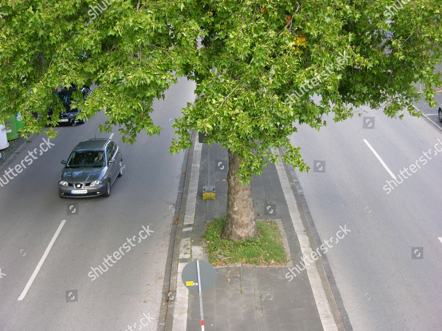 Pedestrian Refuge Island Editorial Stock Photo - Stock Image | Shutterstock