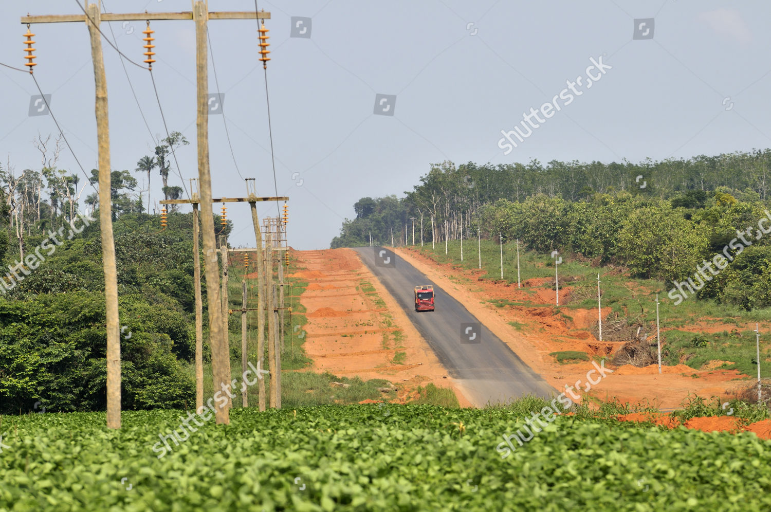 Deforestation Amazon Rainforest Road Construction Cultivation Editorial ...