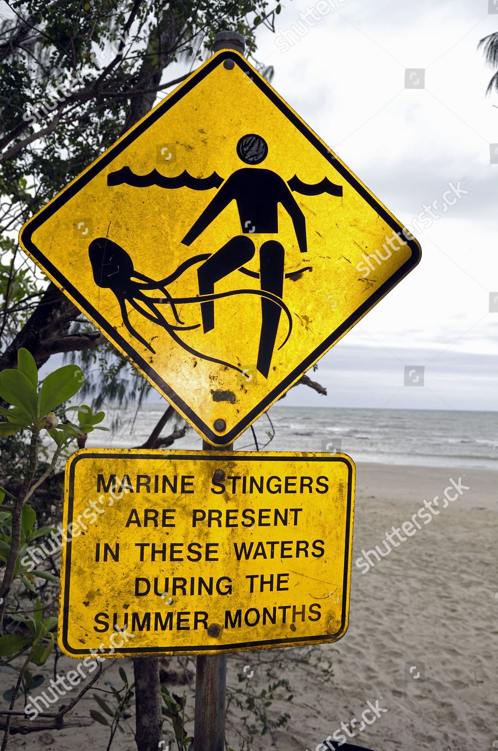 Sign Warning About Box Jelly Fish Editorial Stock Photo - Stock Image ...