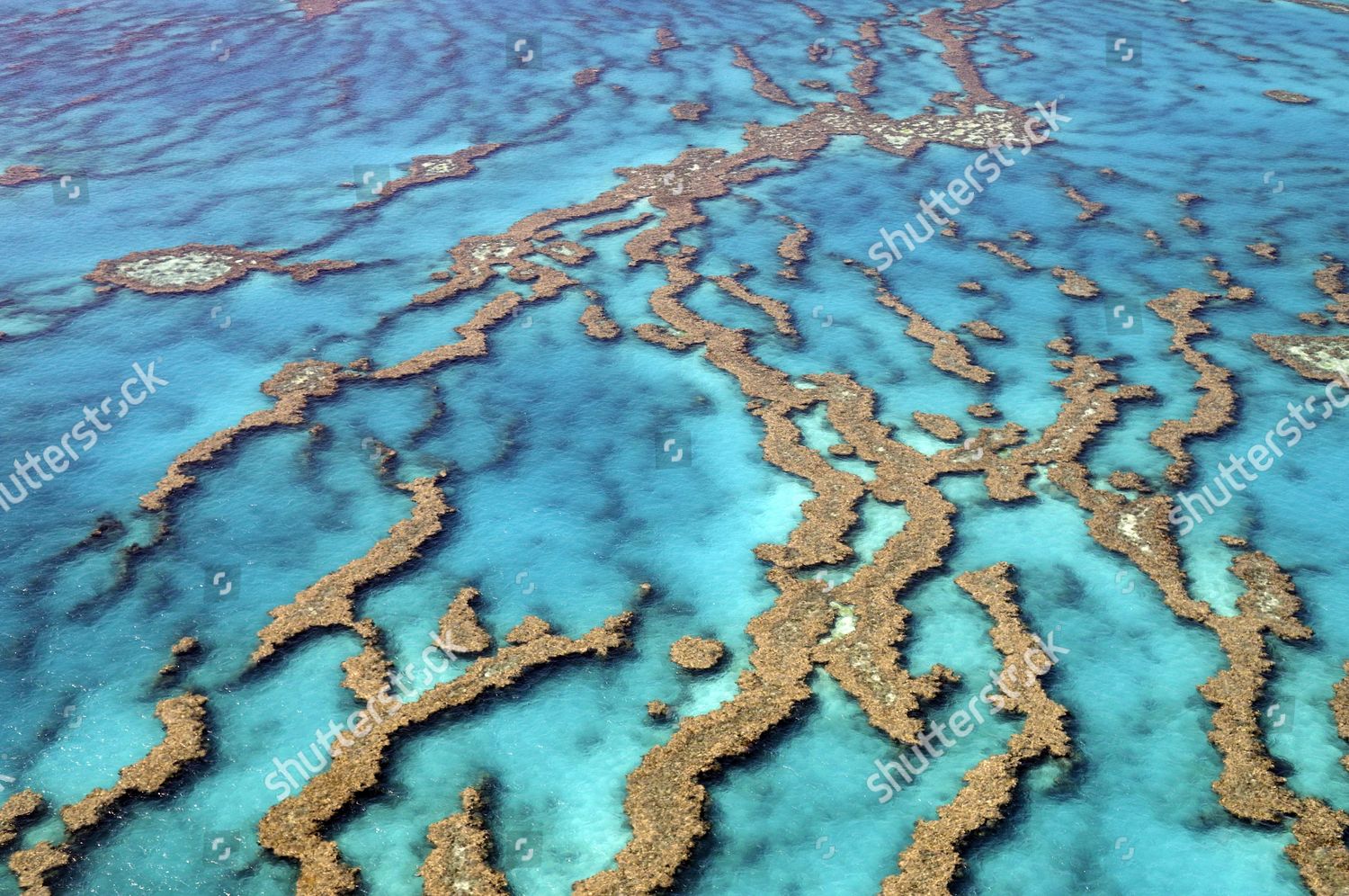 Reefs Atolls Great Barrier Reef Australia Editorial Stock Photo - Stock ...