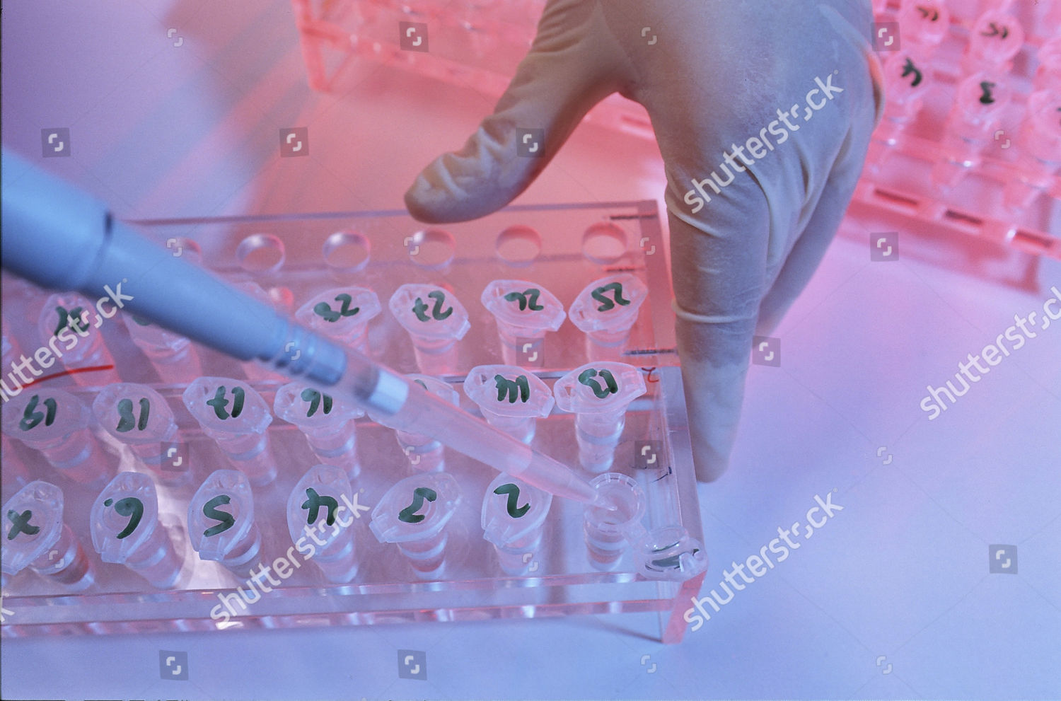 Laboratory Criminal Investigation Department Cid Dna Editorial Stock ...
