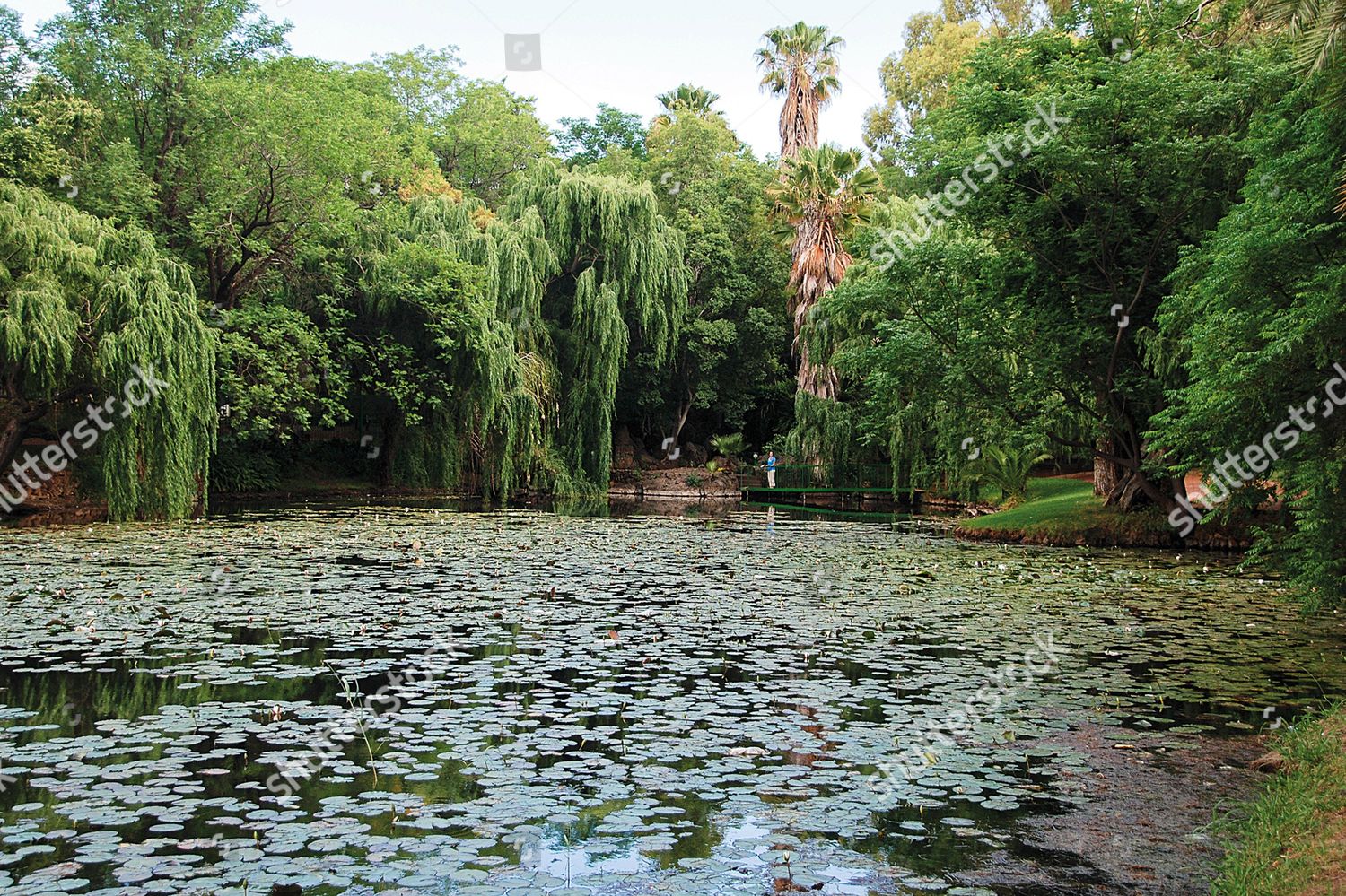 View Biggest Natural Spring Southern Hemisphere Editorial Stock Photo ...