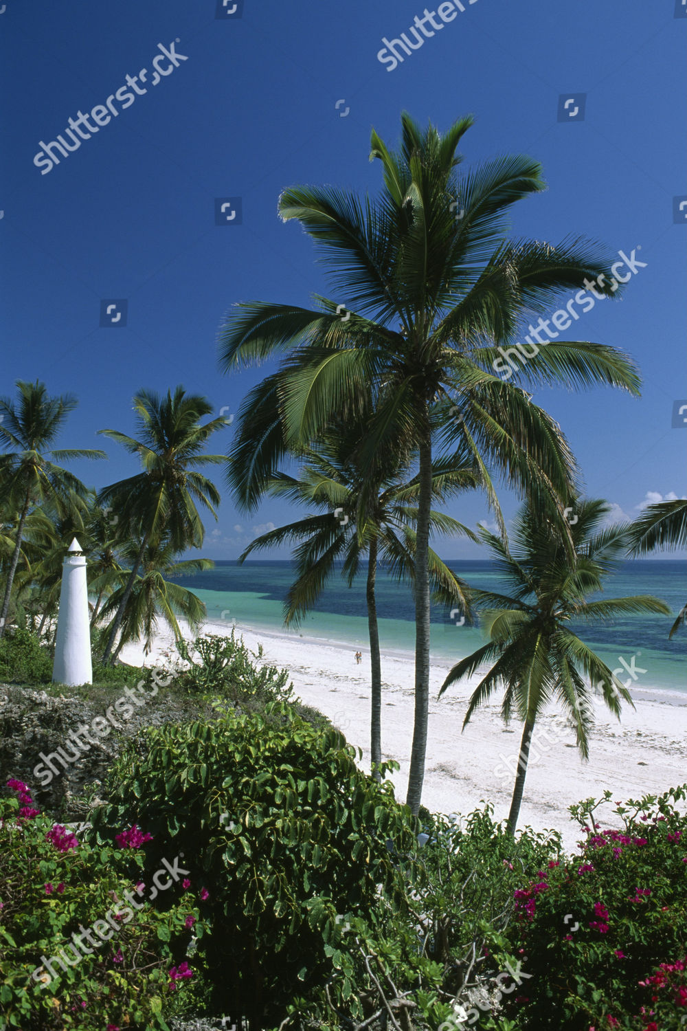 Palm Trees Diani Beach Leisure Lodge Editorial Stock Photo - Stock ...