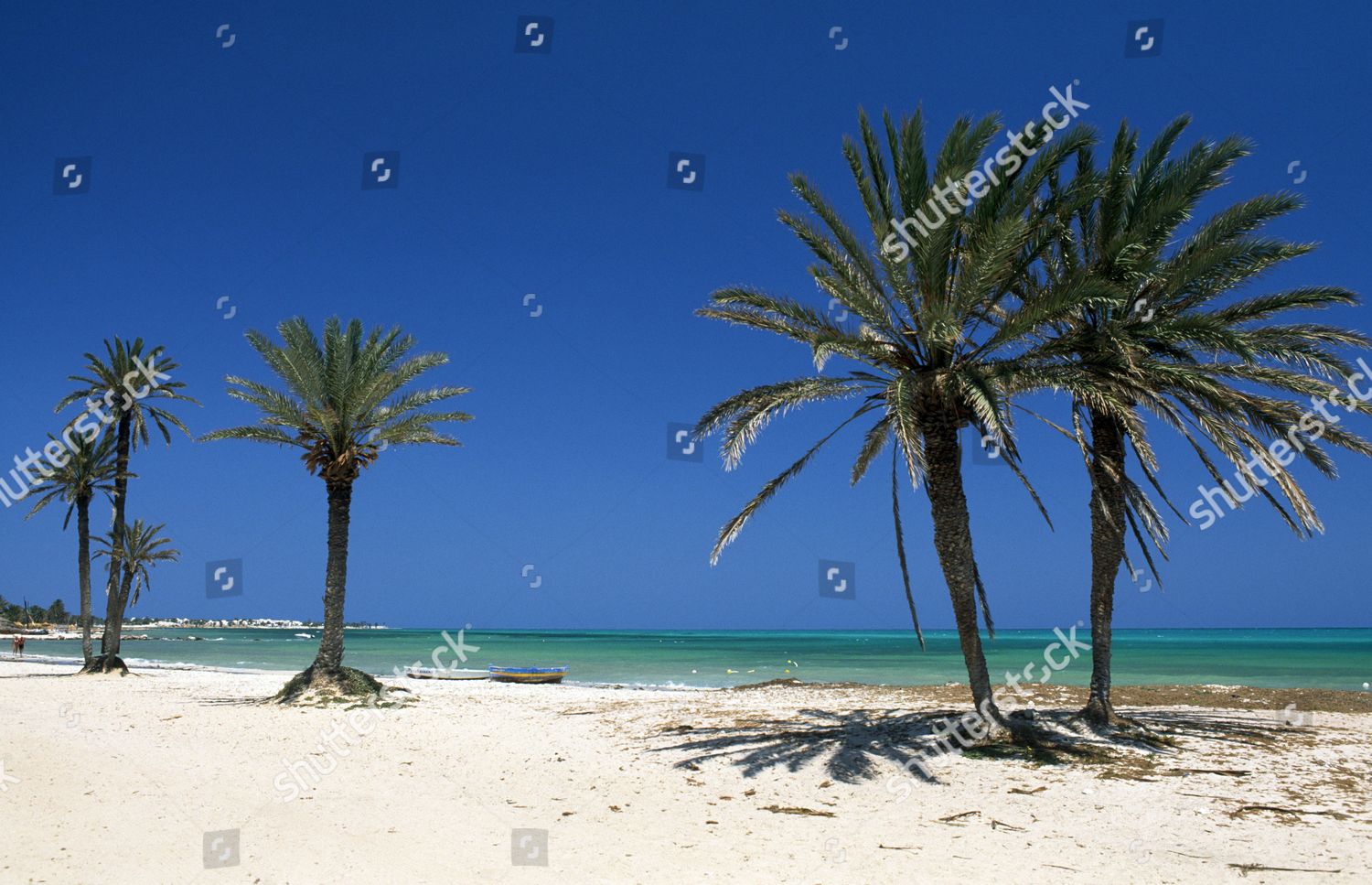 Seguia Beach Djerba Tunisia Africa Editorial Stock Photo - Stock Image ...