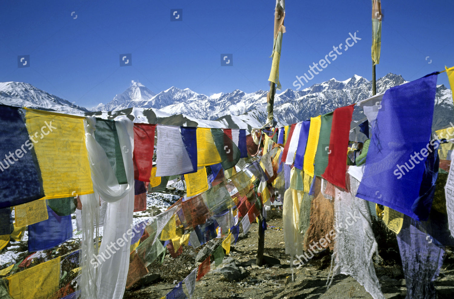 Colourful Prayer Flags Printed Holy Verses Editorial Stock Photo ...