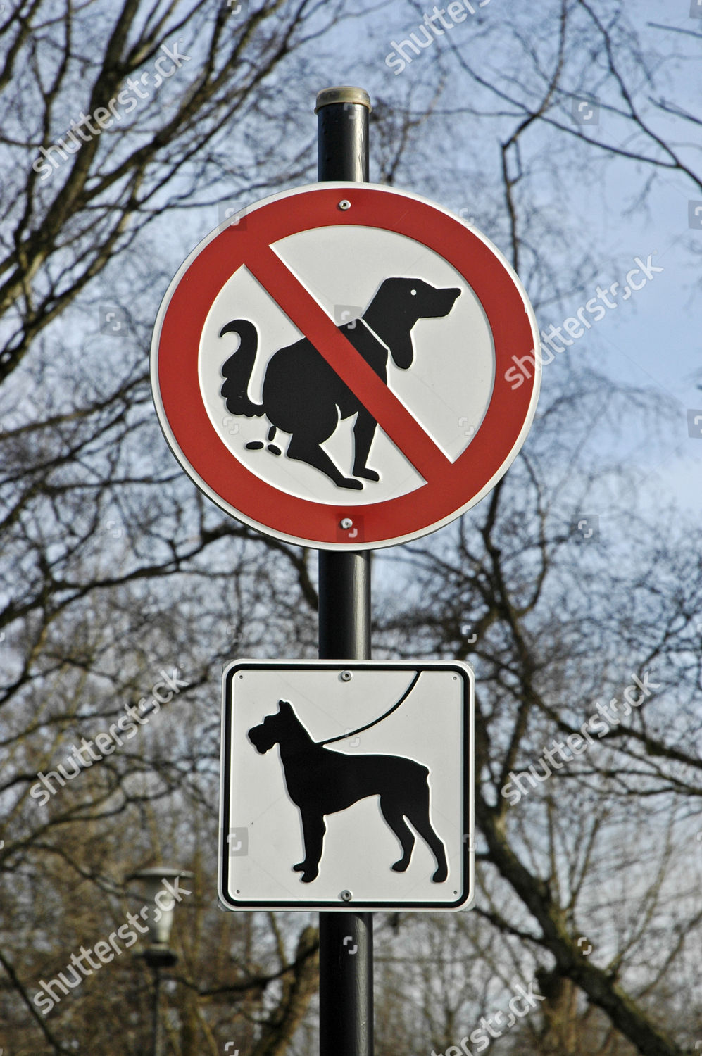 Prohibition Sign Dog Shit Dog Excrement Editorial Stock Photo - Stock ...