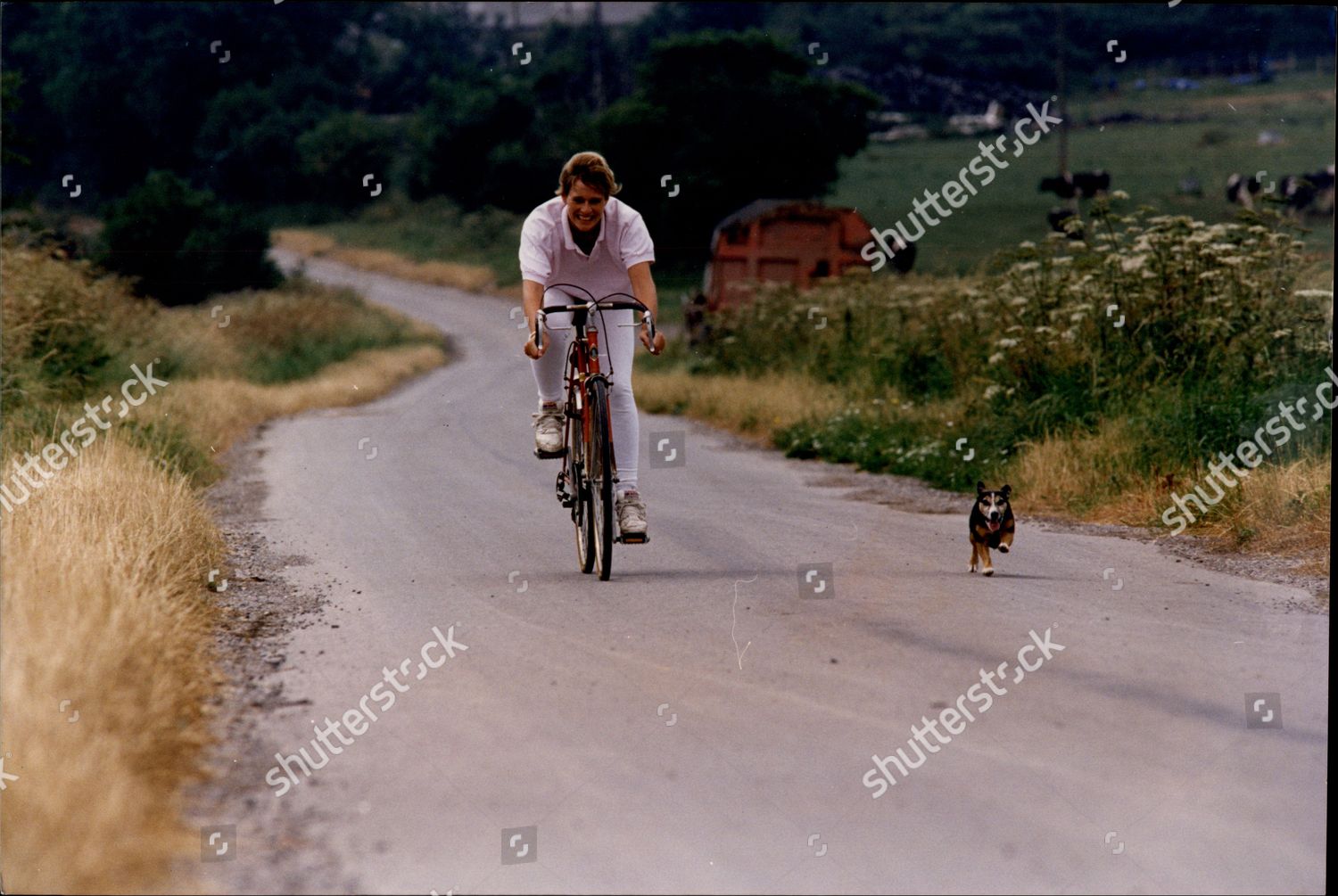 Weather Girl Television Presenter Sally Faber Editorial Stock Photo ...