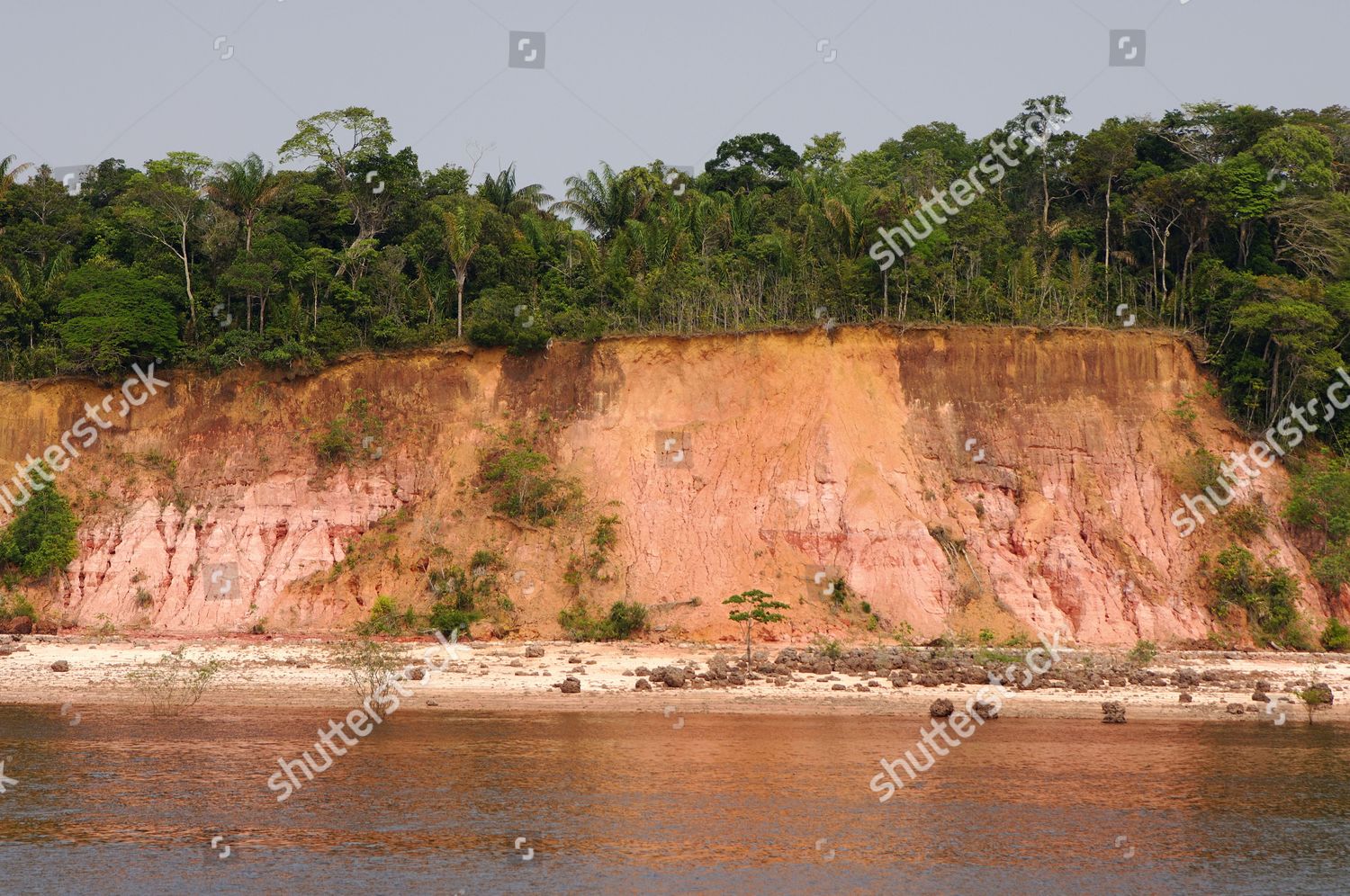 Soil Profile Laterite Soil Under Tropical Editorial Stock Photo - Stock ...