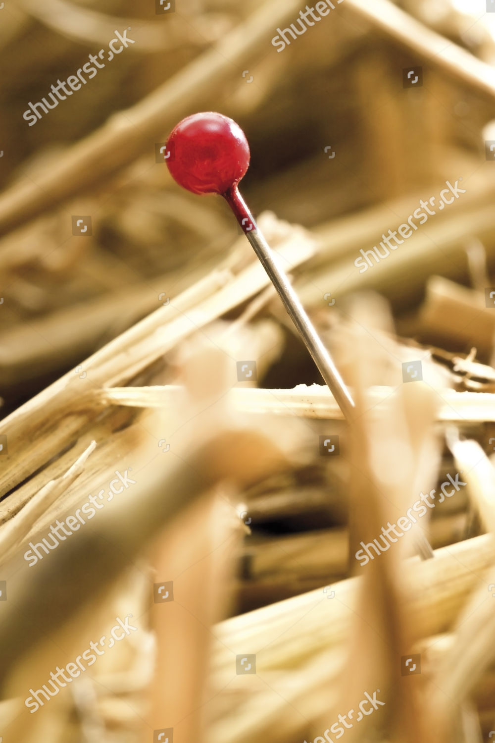 Needle Haystack Editorial Stock Photo - Stock Image | Shutterstock