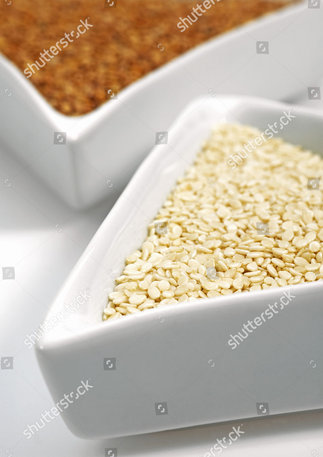 Natural Sesame Gold Coloured Sesam Sesamum Editorial Stock Photo ...