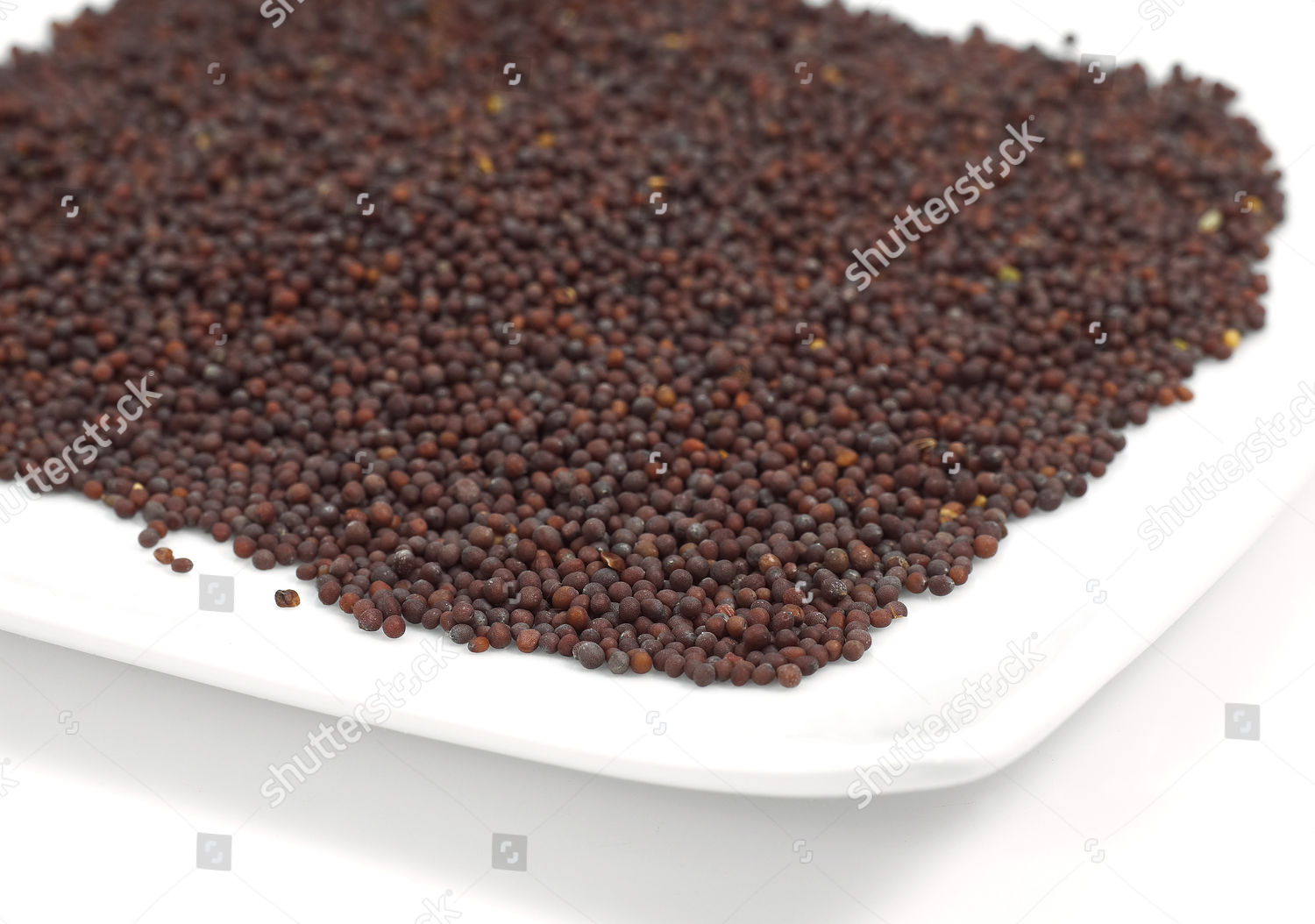 Black Mustard Seeds Sinapis Nigra Dry Editorial Stock Photo - Stock ...
