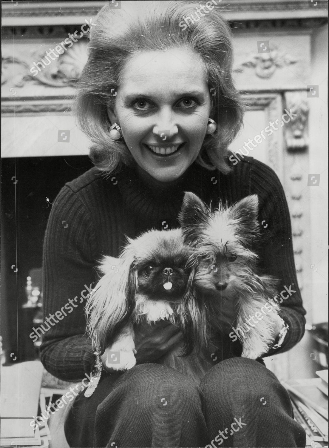 Actress Katie Boyle Dogs Katie Boyle Editorial Stock Photo - Stock ...