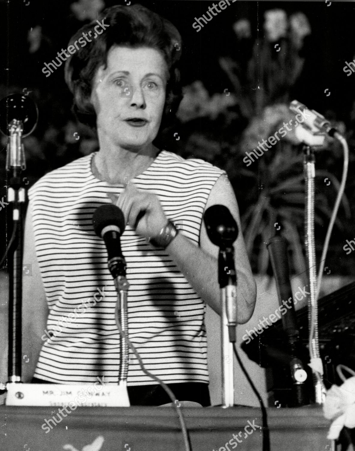 Barbara Castle Labour Politician Addressing Amalgamated Editorial Stock ...