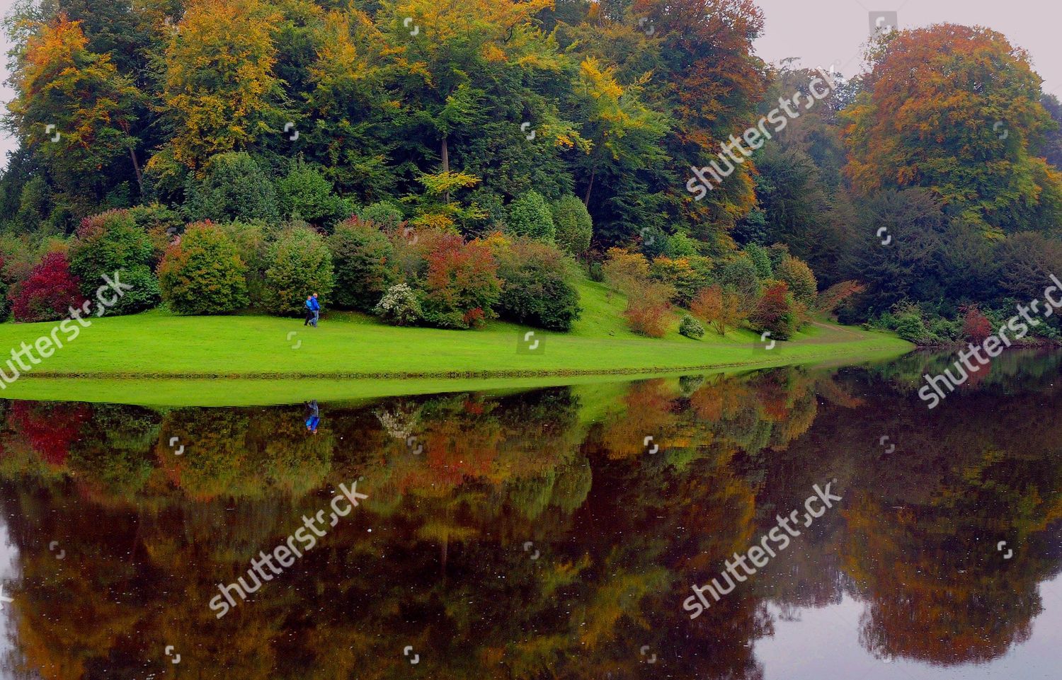 Spectacular Autumn Scene Leaves All Colours Editorial Stock Photo ...