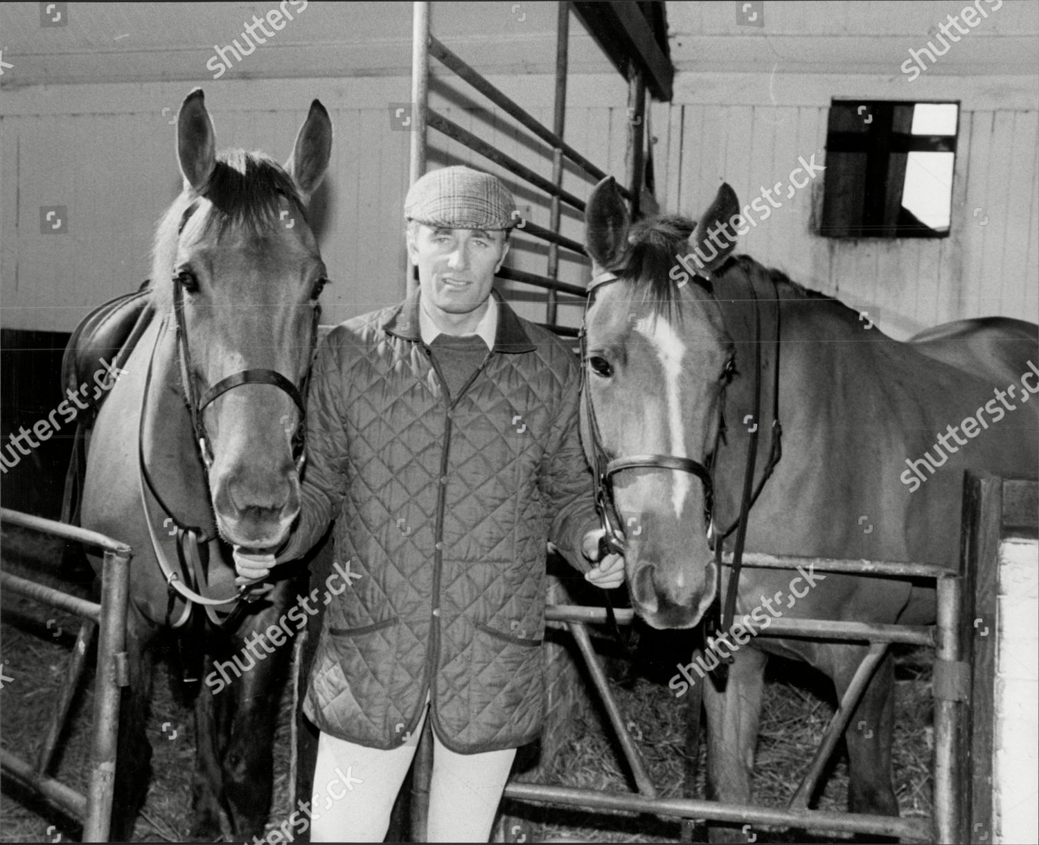 Athlete Pentathlete Jim Fox His Horses Redaktionelles Stockfoto ...