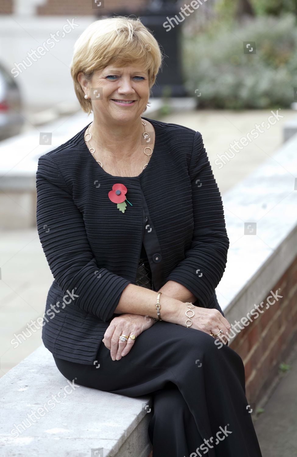Lady Justice Hallett Martin Bentham Interview Editorial Stock Photo ...