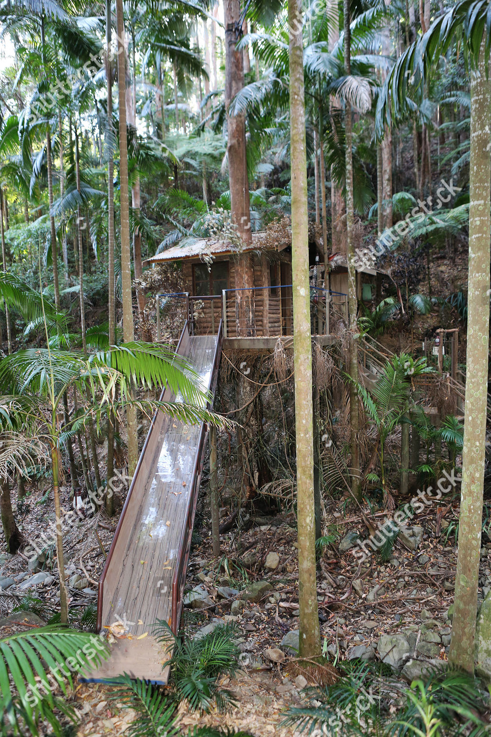 Jungle Den Slide Editorial Stock Photo - Stock Image | Shutterstock