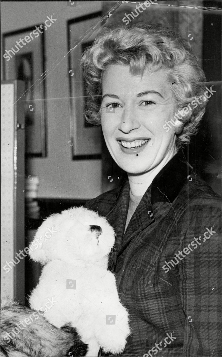 Barbara Kelly Actress Editorial Stock Photo - Stock Image | Shutterstock
