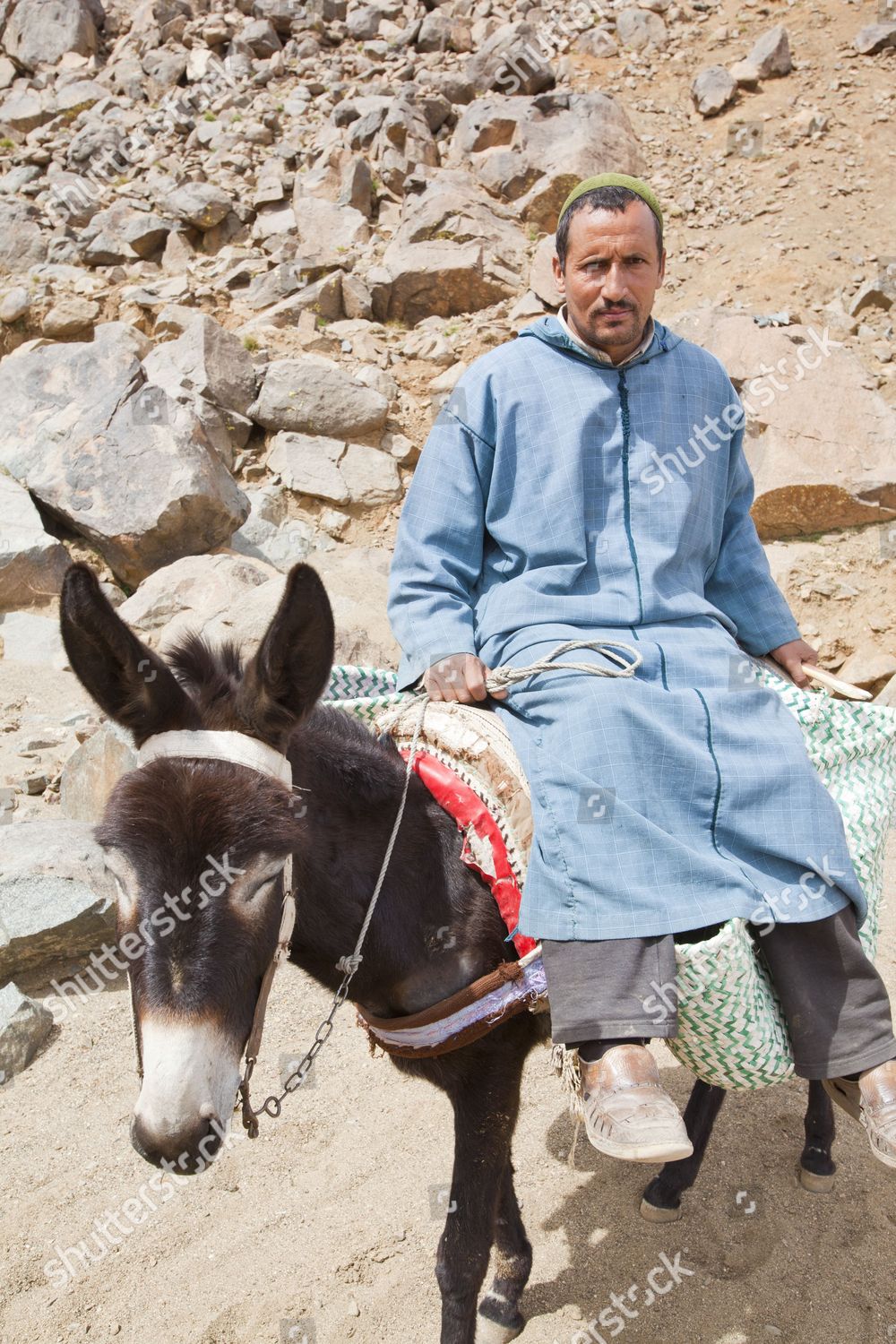 Mule Loaded His Owner Berber Arab Editorial Stock Photo - Stock Image ...