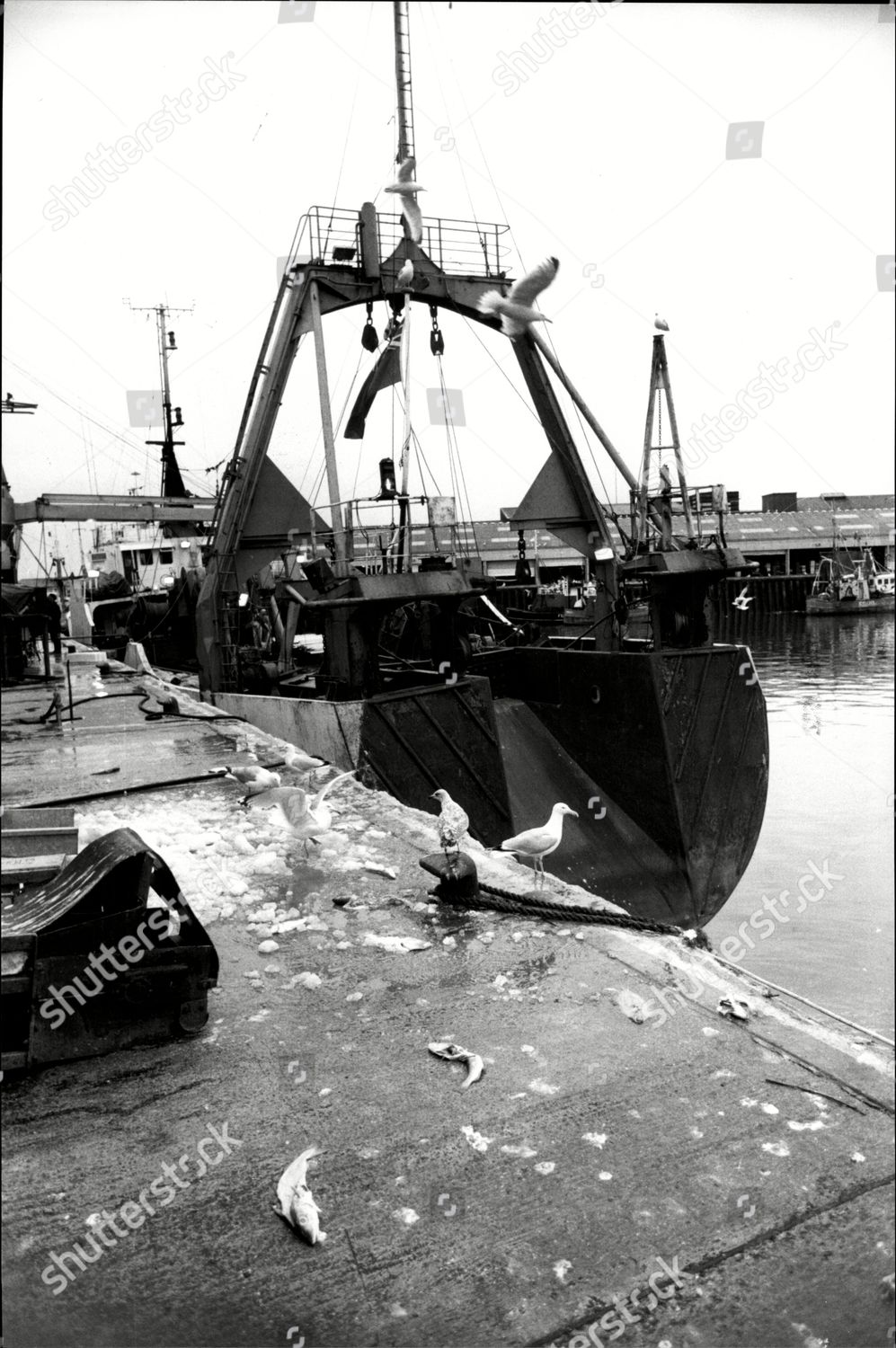 Inshore Fishing Trawler Jacinta Fleetwood Docks Editorial Stock Photo ...