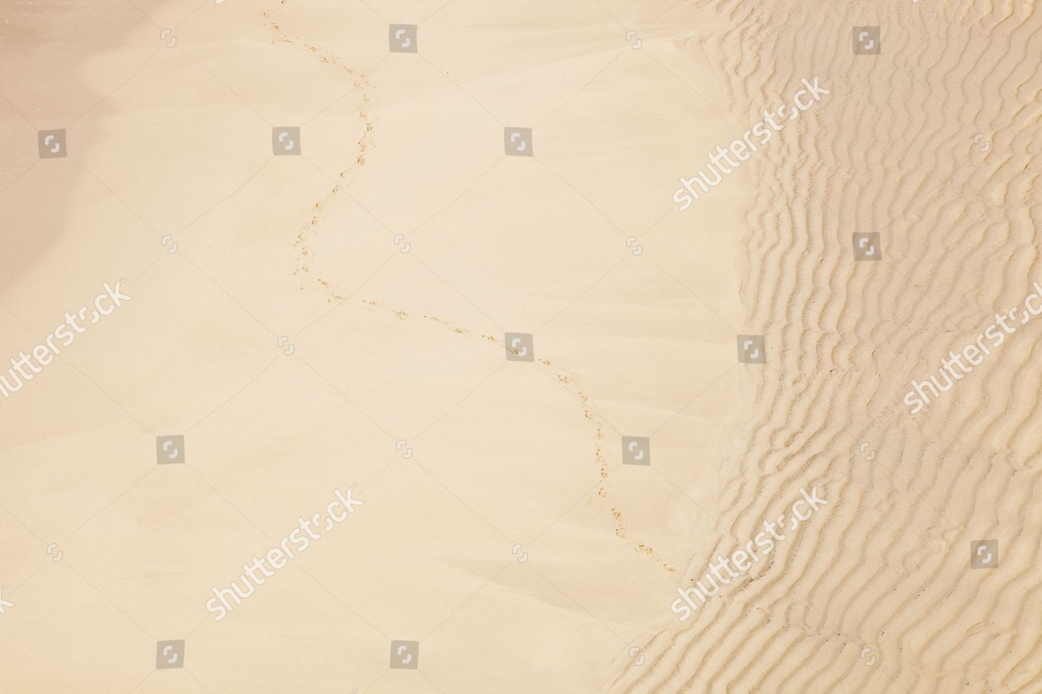 Footprints Left By Man Meandering On Editorial Stock Photo - Stock ...